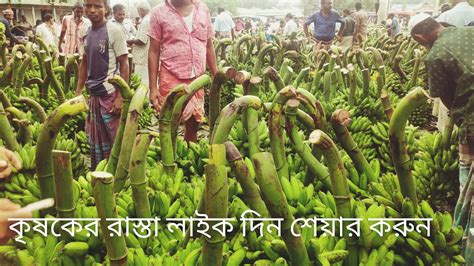 6 অক্টোবর কলার বাজারে ডল কুতুবপুর বাজার সখিপুর টাঙ্গাইল বিস্তারিত জেনে নিন Youtube