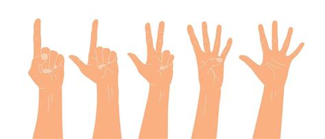Counting Fingers Vector Art Icons And Graphics For Free Download