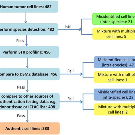 Workflow For Authentication Of Human Tumor Cell Lines Download Scientific Diagram