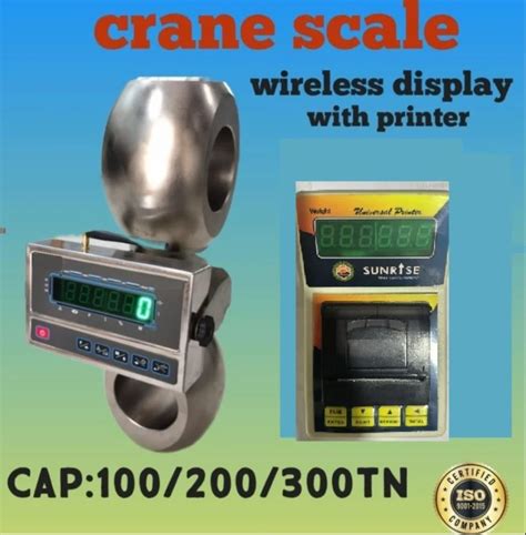Steel Crane Scale Capacity 150 Kg X 30 Kg With Printer Indicator For