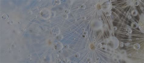 A Framework For Measuring Mutual Value International Cooperative And Mutual Insurance Federation