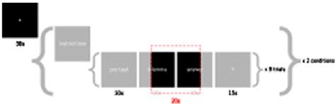 Figure 1 From Using Functional Near Infrared Spectroscopy To Measure Moral Decision Making
