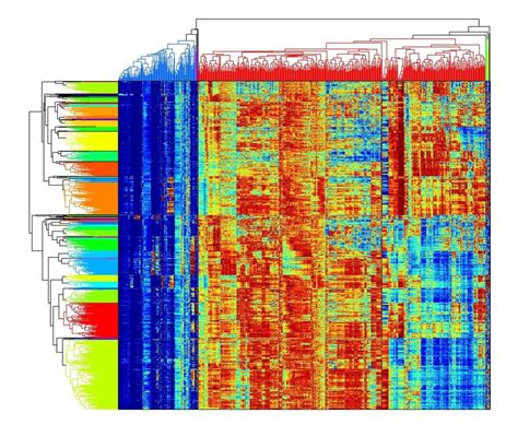 27 Cluster Characterization Of The Map Obtained Using Cross