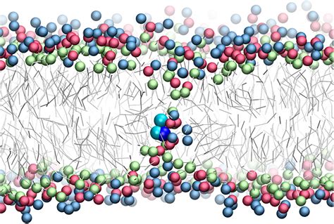 Refining Amino Acid Hydrophobicity For Dynamics Simulation Of Membrane Proteins Peerj