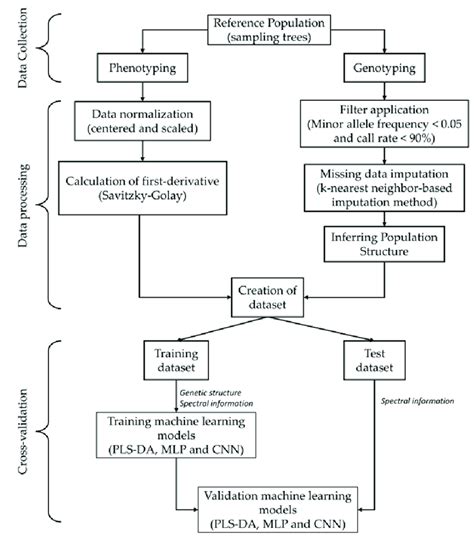 a comprehensive data processing workflow from data acquisition to model