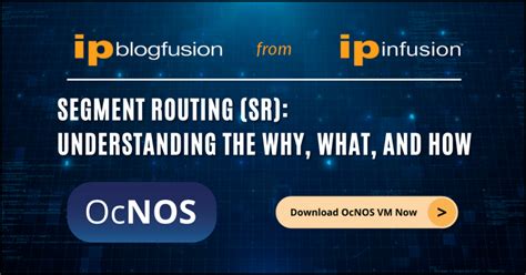Segment Routing Sr Understanding The Why What And How Ip Infusion
