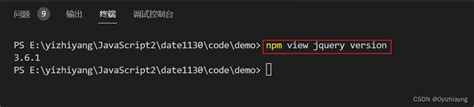 认识npm和第三方库 npm v空白 csdn博客