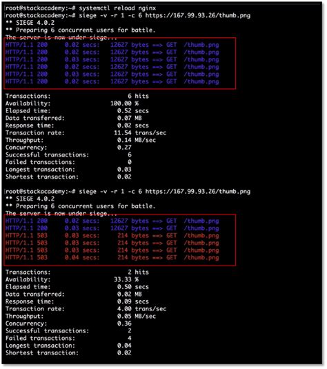 [nginx] rate limiting