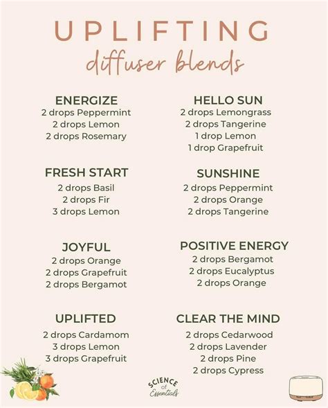 10 Essential Oil Diffuser Blends For Focus And Concentration Artofit