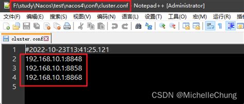 【ruoyi Cloud Plus】学习笔记 03 Nacos（三）使用 Nginx 实现地址服务器寻址及其原理分析java