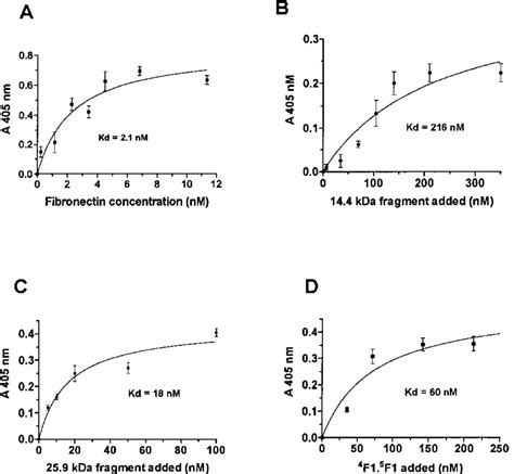 Comparative Binding Of Fn And Its Constituent N And C Terminal