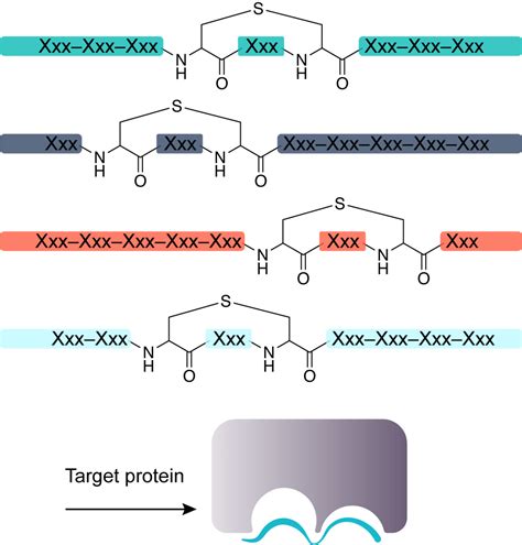 Research Tang Lab Uchicago