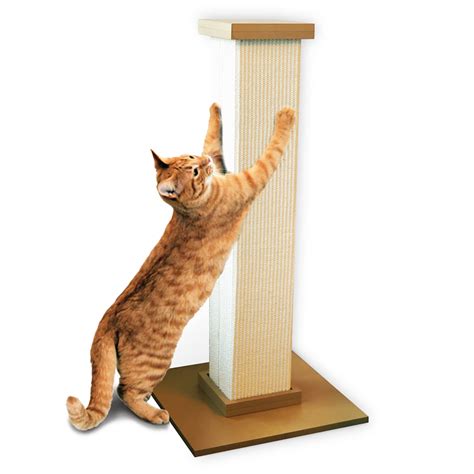 Best Scratching Post For Large Cats Large Domestic Cats