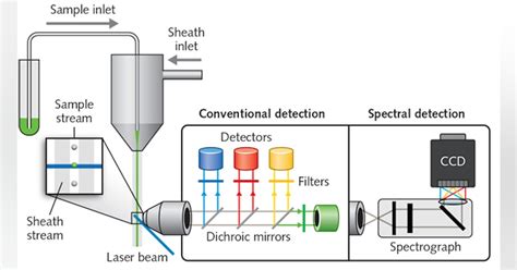 Cytometryspectroscopy Optics And Photonics Advance Spectral Flow