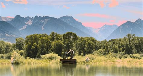 Cpu Exporting Color Loss Rpremiere