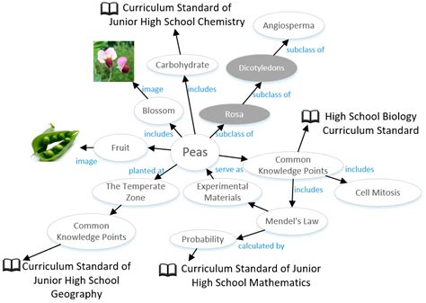 applied sciences free full text dynamic generation of knowledge