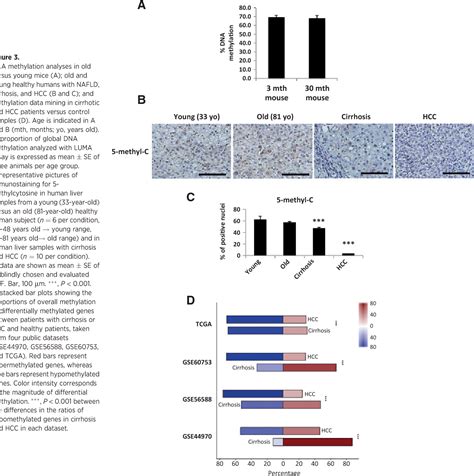 Figure 2 From Dna Hypomethylation And Histone Variant Macroh2a1 Synergistically Attenuate