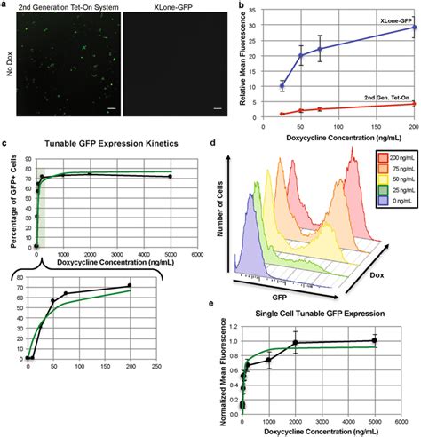 An All In One Tet On 3g Inducible Piggybac System For Human