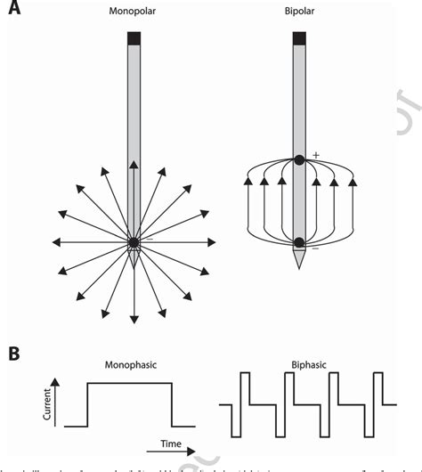 Figure 1 From Cholinergic Deep Brain Stimulation For Memory And Cognitive Disorders Semantic
