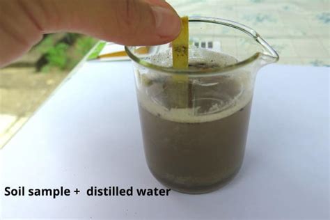 A Guest Post How Do You Adjust Soil Ph Organically