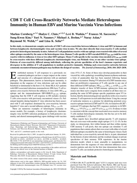 Pdf Cd8 T Cell Cross Reactivity Networks Mediate Heterologous Immunity In Human Ebv And Murine