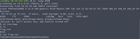 Tryhackme Upload Vulnerabilities — Walkthrough