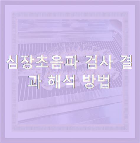 심장초음파 검사 결과 해석 방법 네이버 블로그