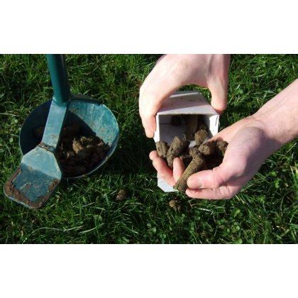 Soil Analysis Analysis Reports Farmacy