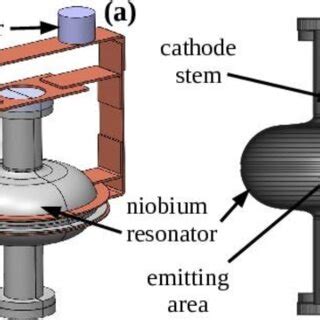 Drawing Of The Rod Inside The Cavity Download Scientific Diagram