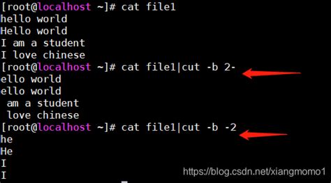 linux文件系统 及文件系统删除原理 文件系统 元数据 删除 csdn博客