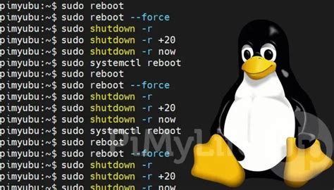 How To Reboot Linux Pishop Blog
