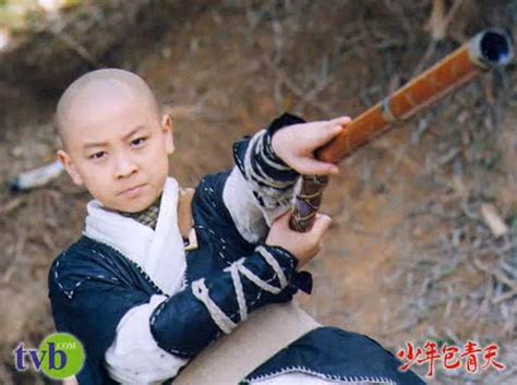 少年包青天 释小龙 饰 展昭 高清图片，堆糖，美图壁纸兴趣社区