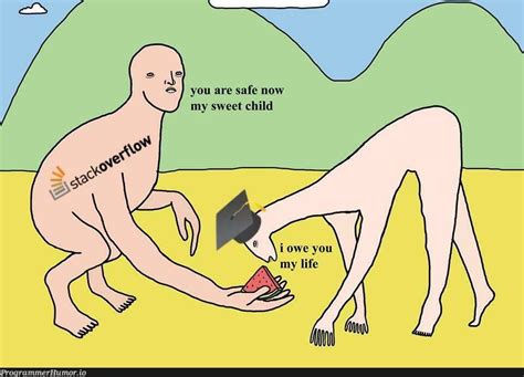 Going Into Graduation Like Programmerhumor Io