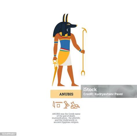 아누비스 고대 이집트 신과 카드 흰색에 고립 평면 벡터 일러스트 아누비스에 대한 스톡 벡터 아트 및 기타 이미지 아누비스 일러스트레이션 개 Istock