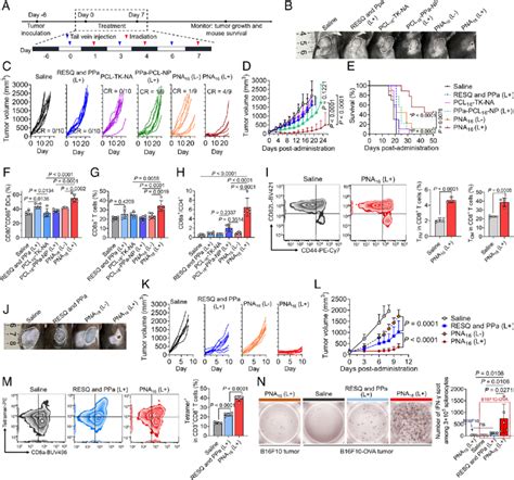 Pna 16 Administration Followed By Nir Irradiation Elicited Robust
