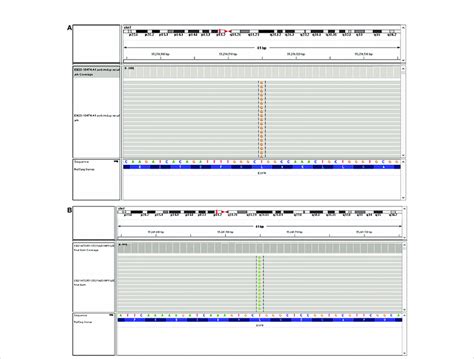 A Integrative Genomics Viewer Snapshot Of The L858r Mutation In Egfr Download Scientific