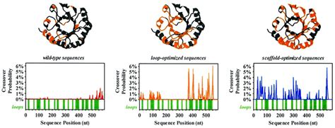 Crossover Position Statistics Before And After Codon Optimization Loop Download Scientific