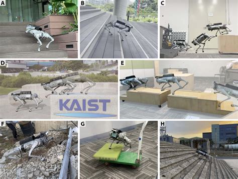 Obstacle Aware Quadrupedal Locomotion With Resilient Multi Modal Reinforcement Learning