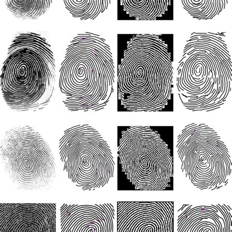 Pdf Fingerprint Feature Extraction From Gray Scale Images By Ridge