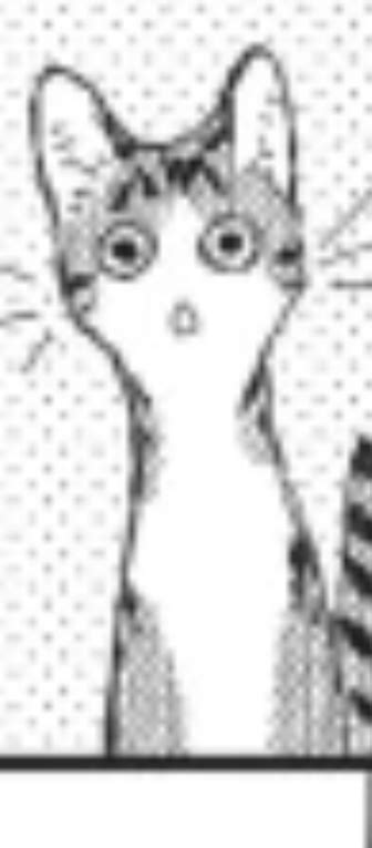 Kitty Rule R196