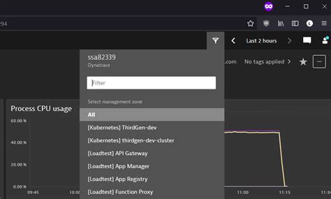 Dynatrace Configuration For All Authorization Requirements