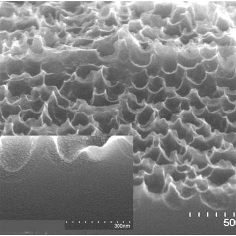 Sem Micrographs Of A A Typical Plasma Etched Mc Si Wafer Showing
