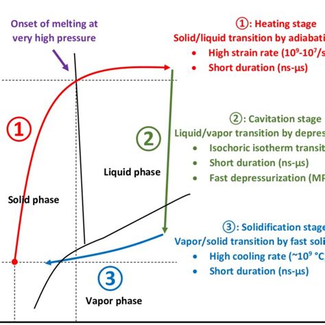 Sem Observation Of Hierarchical And Stochastic Open Porosity Produced Download Scientific