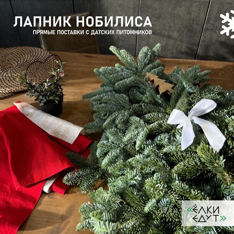 Лапник (ветки живые) пихты Нобилис ветки 4-5 кг (Дания) , елка живая ...