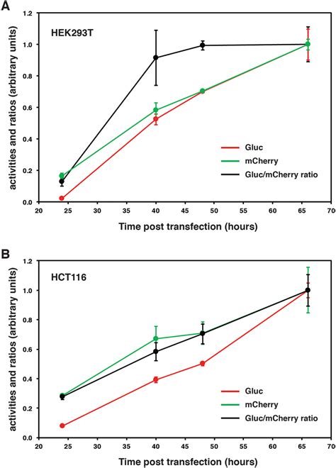 Time Course Assay A Time Course Experiment With Transfected Variant Download Scientific