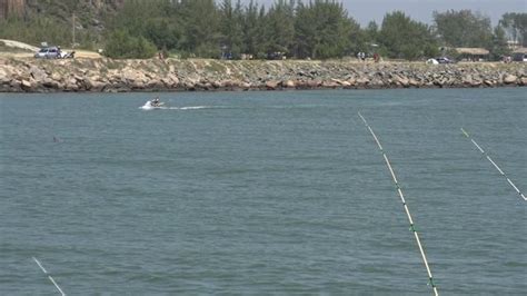 รูปภาพdolhin เลือกดูภาพถ่ายสต็อก เวกเตอร์ และวิดีโอ50 Adobe Stock