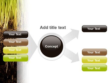 Soil Presentation Template For PowerPoint And Keynote PPT Star