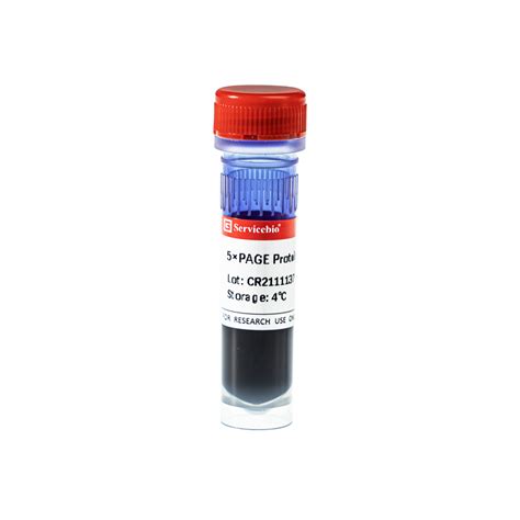 Protein Loading Buffers Vyanabiotech