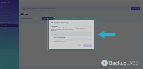 How To Backup Github Repositories And Metadata Backuplabs