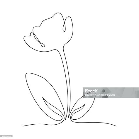 잎과 꽃 하나의 연속적인 선 그리기 심플한 리니어 스타일의 미니멀리스트 튤립 벡터 일러스트 레이 션 손으로 그린 모노라인 편집 가능한 스트로크 공휴일에 대한 스톡 벡터 아트